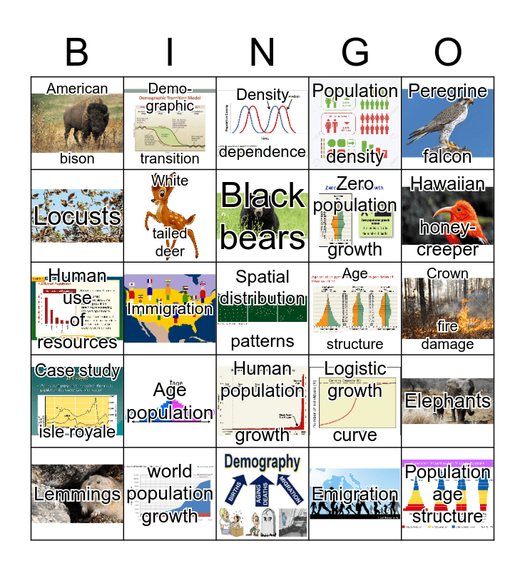 Population Ecology Bingo Card