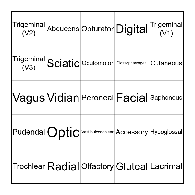 Cranial Nerves Bingo Card