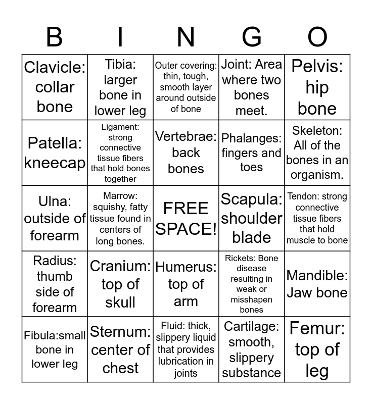 Skeletal System Bingo Card