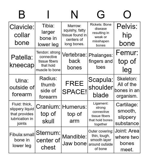 Skeletal System Bingo Card
