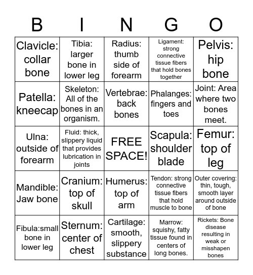 Skeletal System Bingo Card