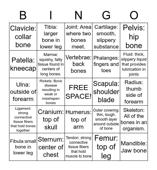 Skeletal System Bingo Card