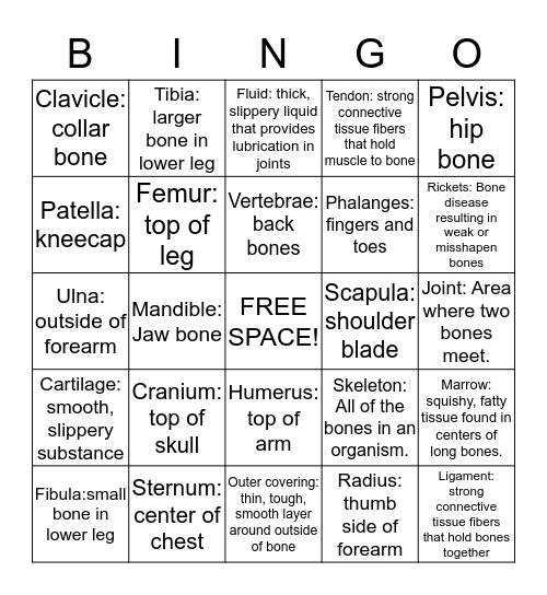Skeletal System Bingo Card