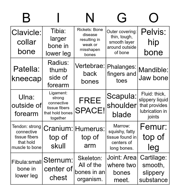 Skeletal System Bingo Card