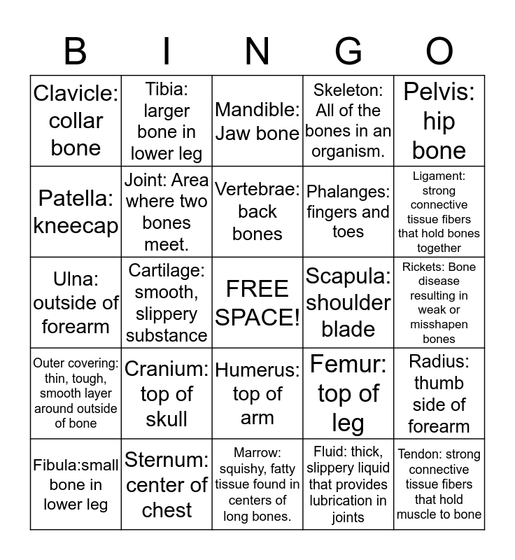 Skeletal System Bingo Card