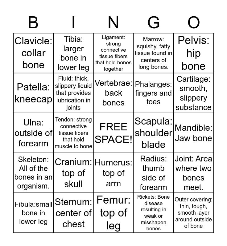 Skeletal System Bingo Card