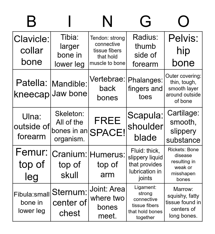Skeletal System Bingo Card