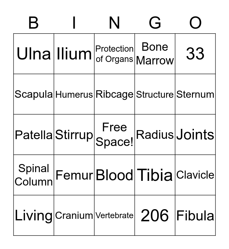 Skeletal System of Human Body Bingo Card