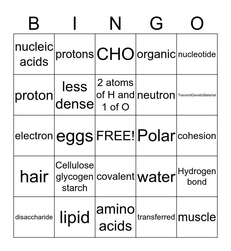 BioChemistry Bingo Card