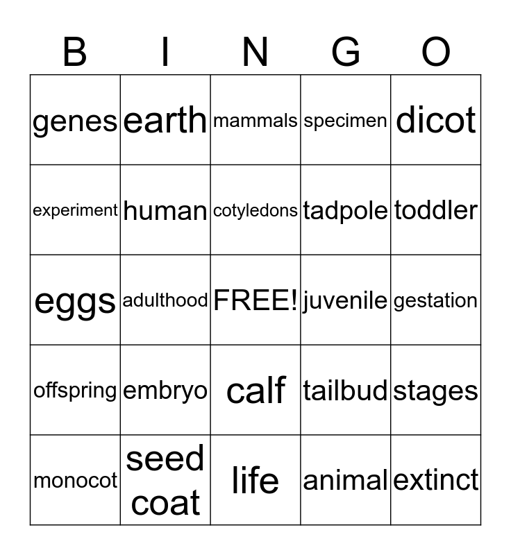 Life Cycle Bingo Card