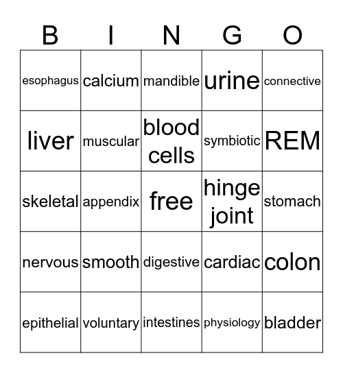 Anatomy and Physiology Review Bingo Card
