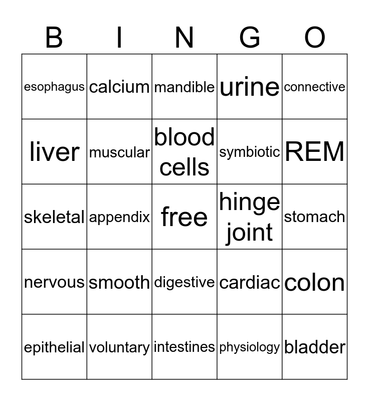 Anatomy and Physiology Review Bingo Card