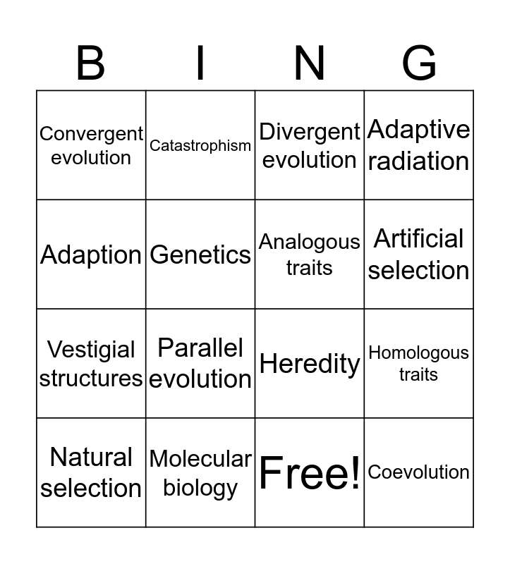 Evolution Bingo Card