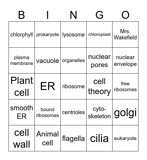 biology organelle functions Bingo Card