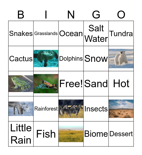 Biomes Bingo Card