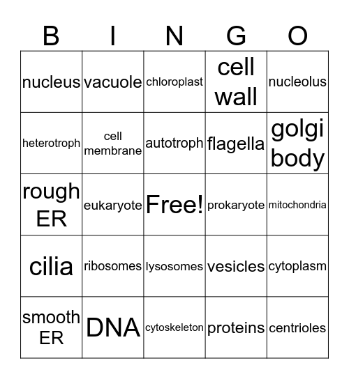 Organelles Bingo Card