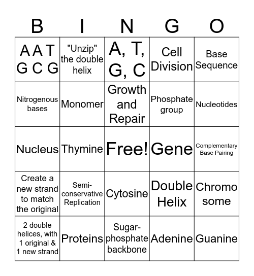 DNA Replication & Protein Synthesis Bingo Card