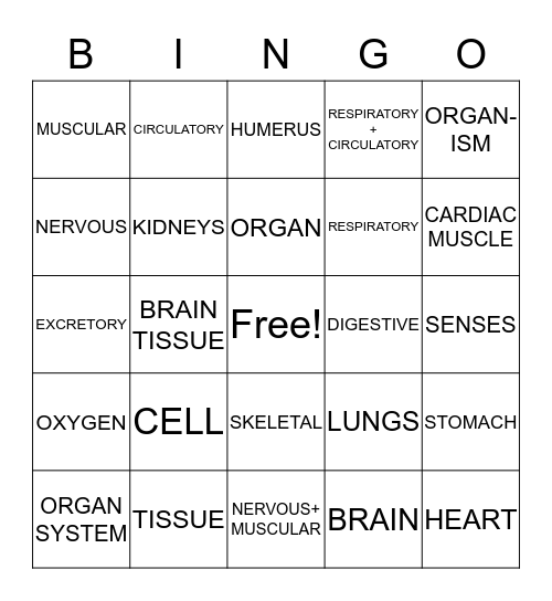 Bodies and Systems Bingo Card