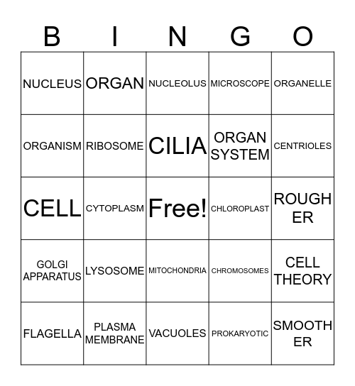 Cell Theory Bingo Card