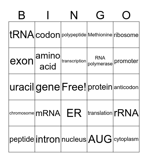 Protein Synthesis Bingo Card