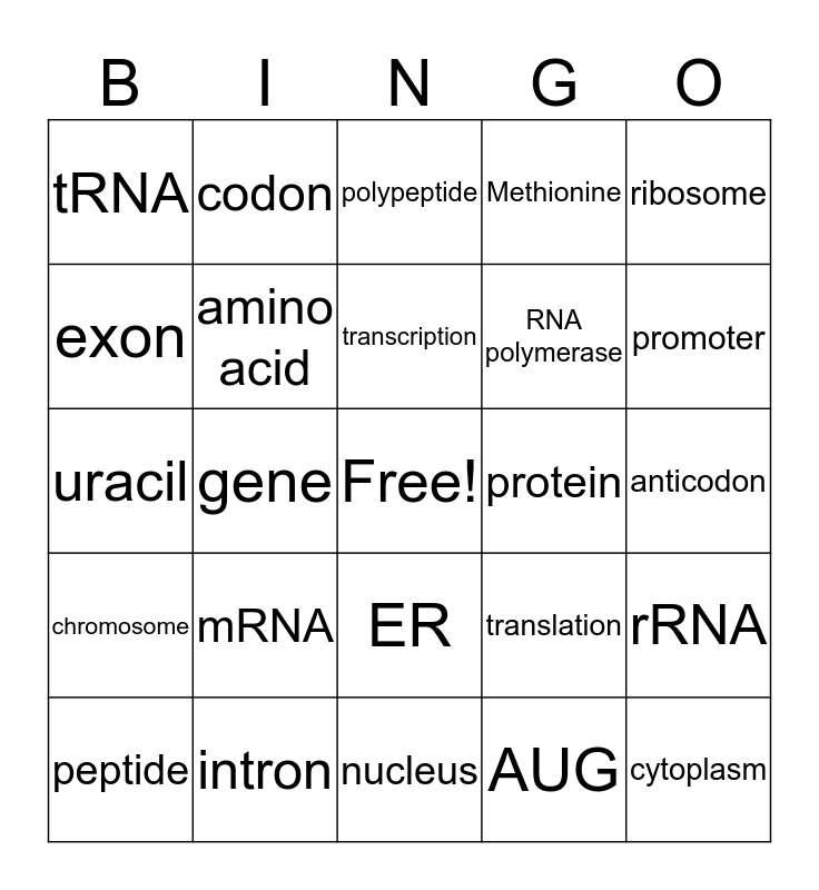 Protein Synthesis Bingo Card
