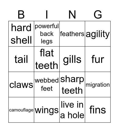 Animal Adaptations Bingo Card