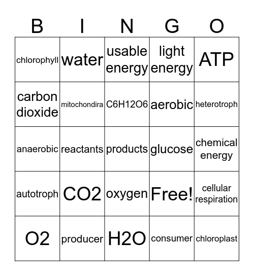 Photosynthesis & Cellular Respiration Bingo Card
