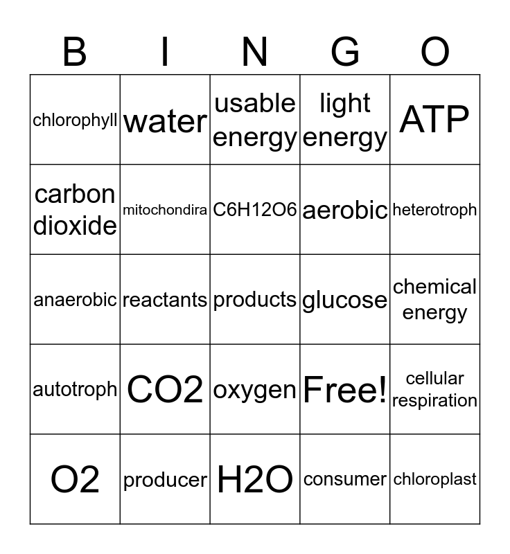 Photosynthesis & Cellular Respiration Bingo Card