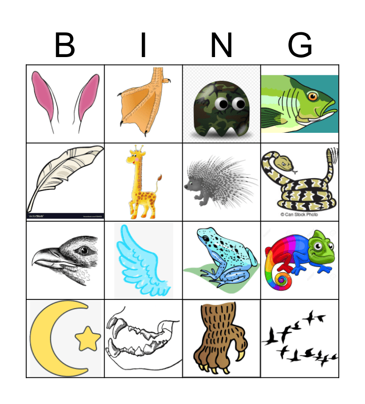 Animal Adaptations Bingo Card