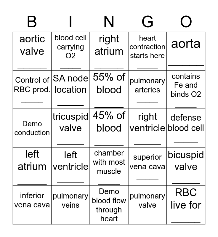 Cardiovascular Bingo! Bingo Card