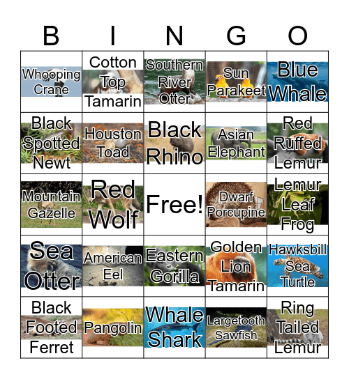 Endangered Species BINGO Card