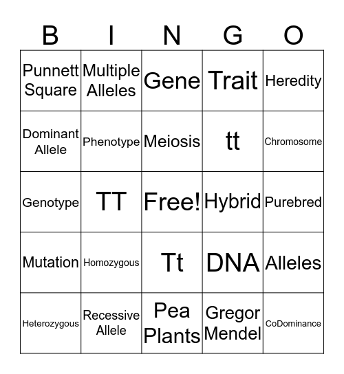 Heredity Bingo Card