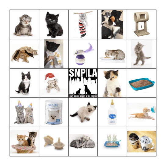 KITTEN BINGO! Bingo Card