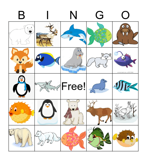 Arctic Ocean Animals For Kids