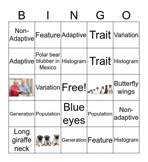 Natural Selection Bingo Card