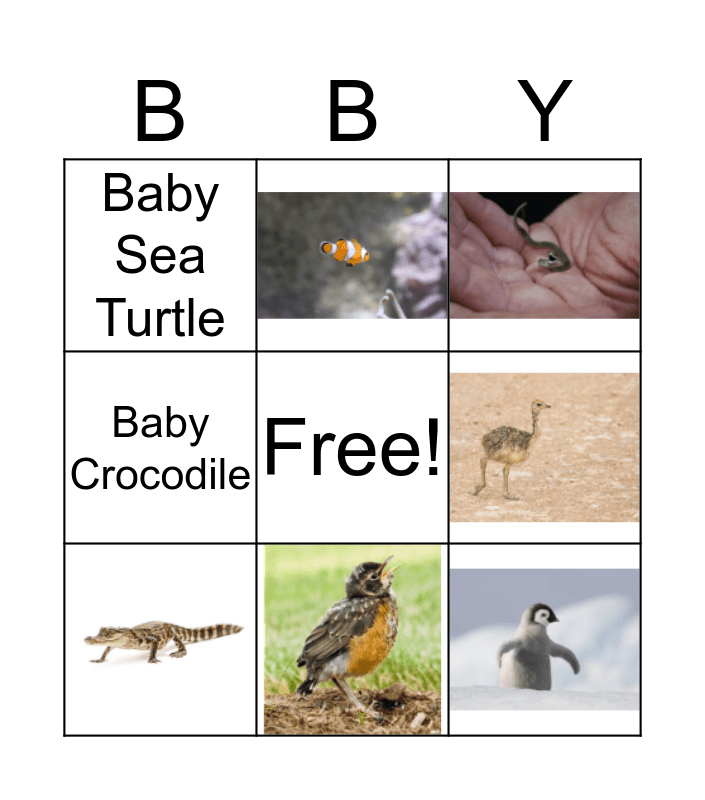Baby Animal Bingo Card