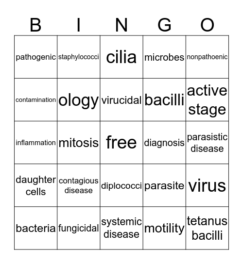 Ch 5 Principles of Infection Bingo Card