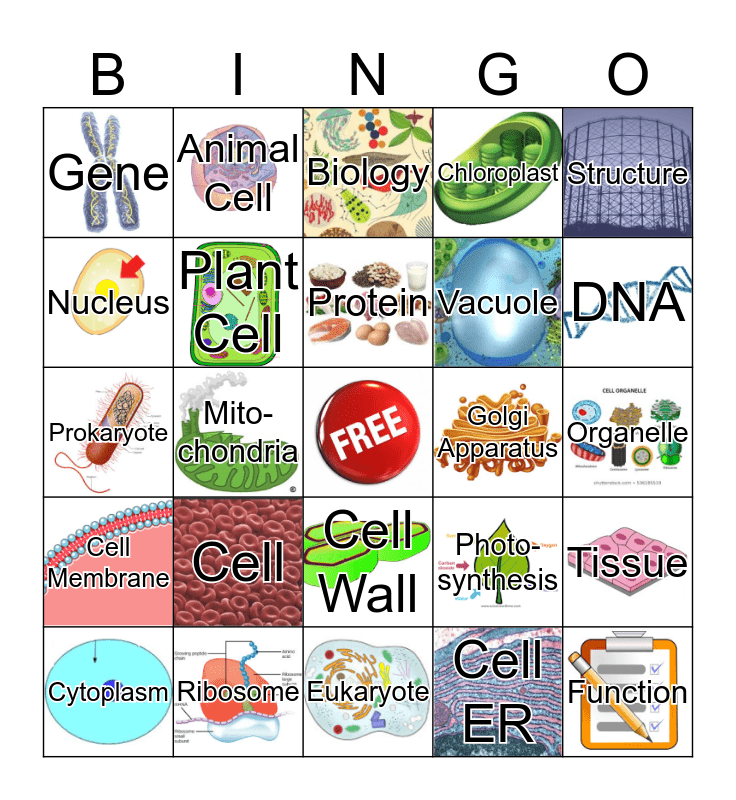 Cell Bingo Card