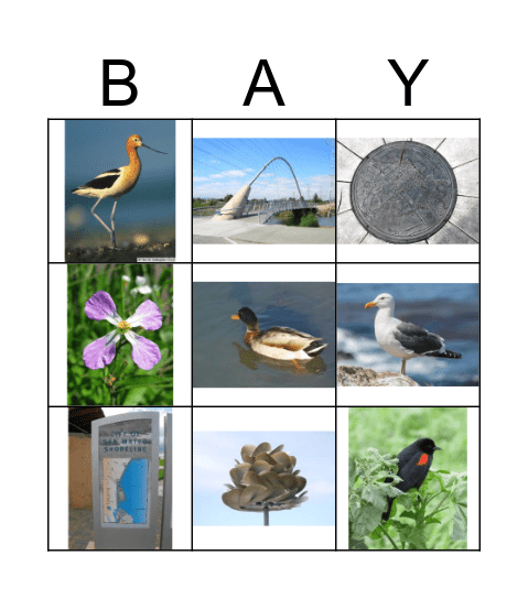 Bayshore Bingo Card