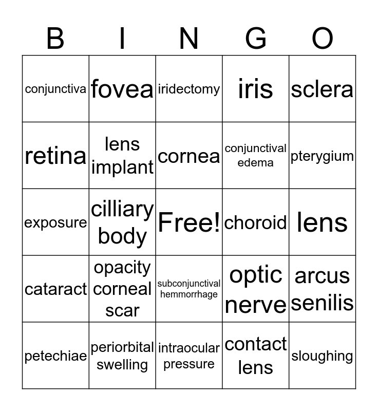 Eye Anatomy Bingo Card
