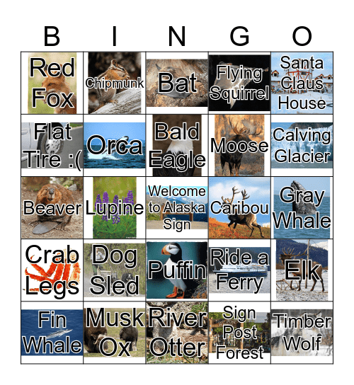 2019 Alaska Bingo #1 Bingo Card
