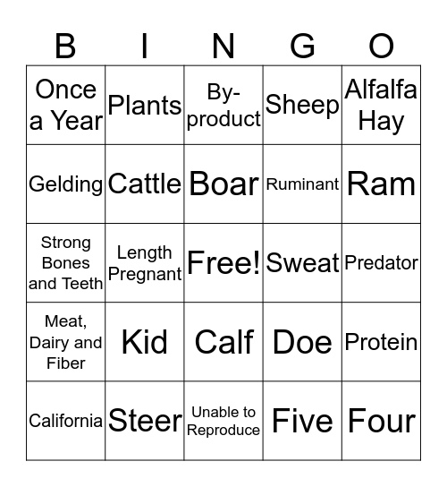 Livestock Review Bingo Card