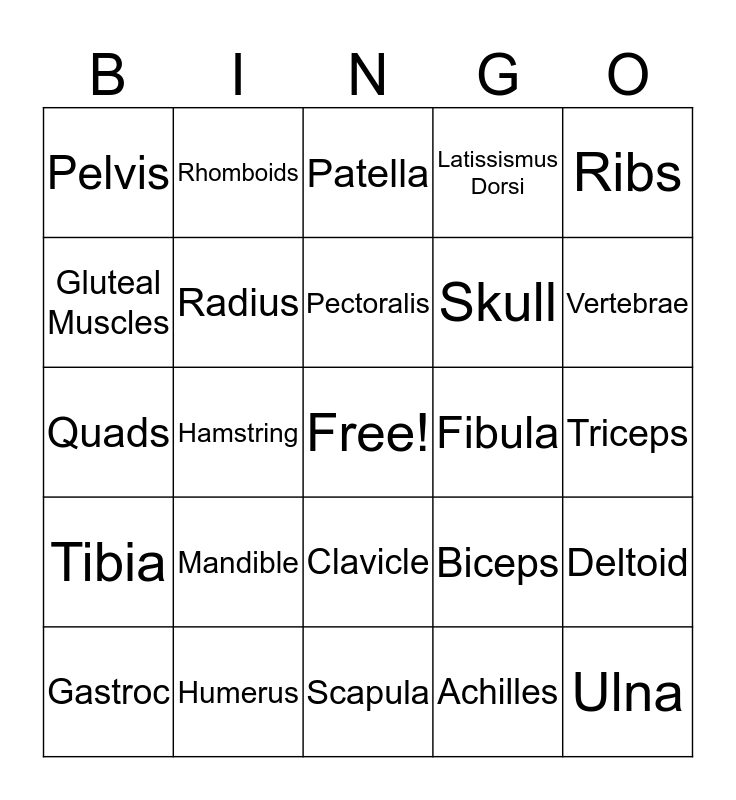 Anatomy Bingo Card