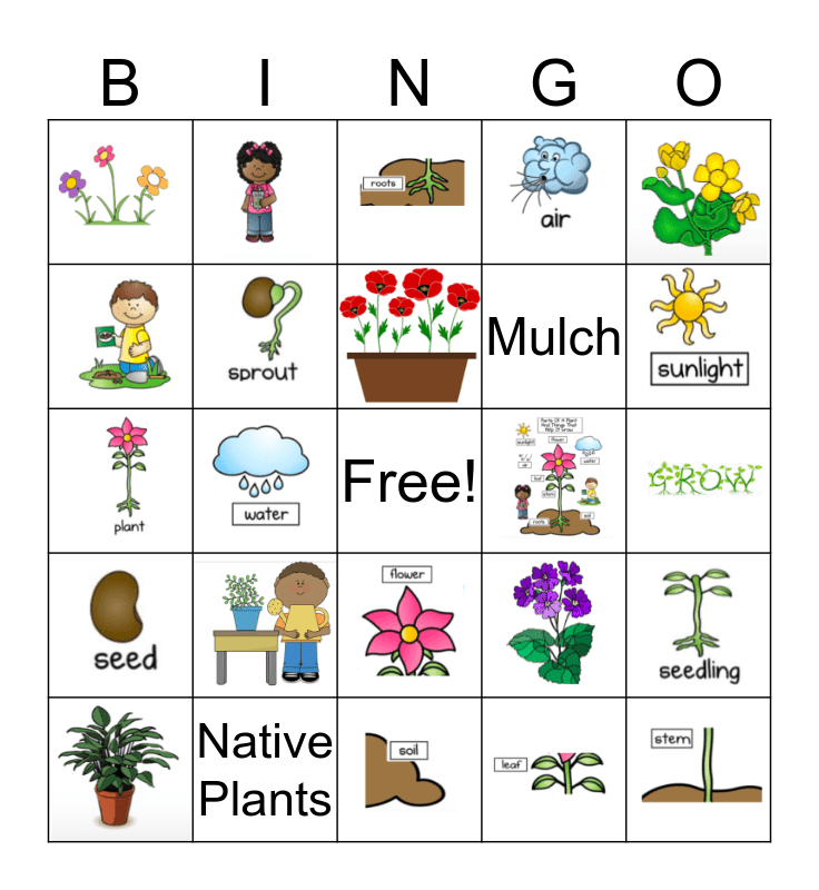 PLANTS Bingo Card