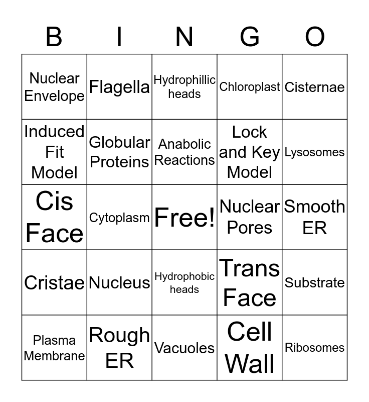 Cell Biology Bingo Card
