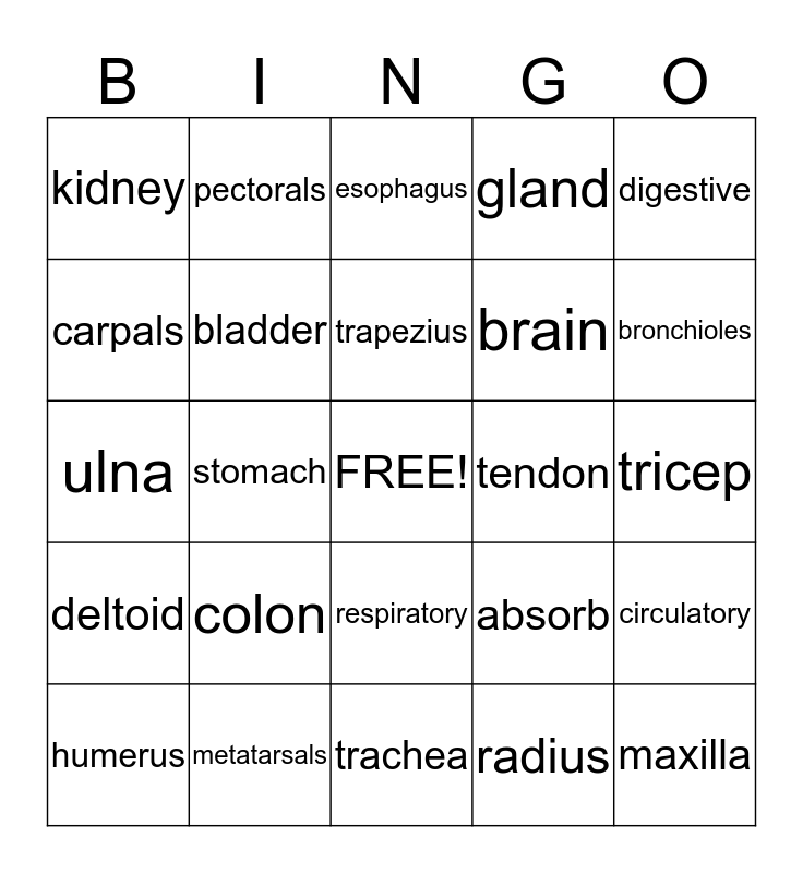 Human Body Bingo Card