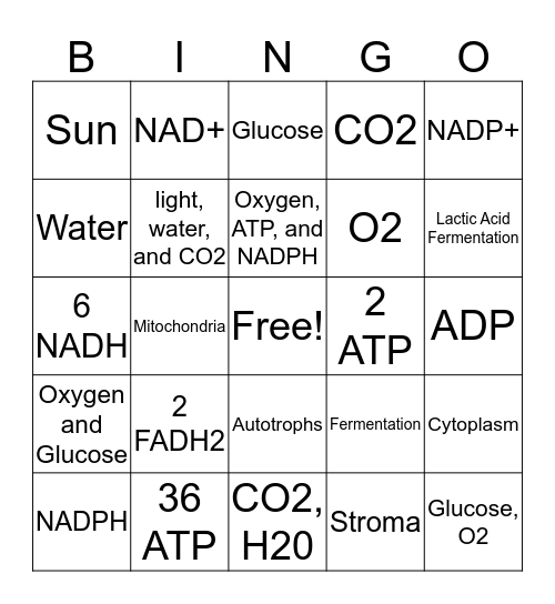 Cellular Energetic's Review Bingo Card