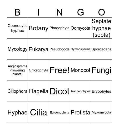 Protista, Fungi, & Plantae Bingo Bingo Card