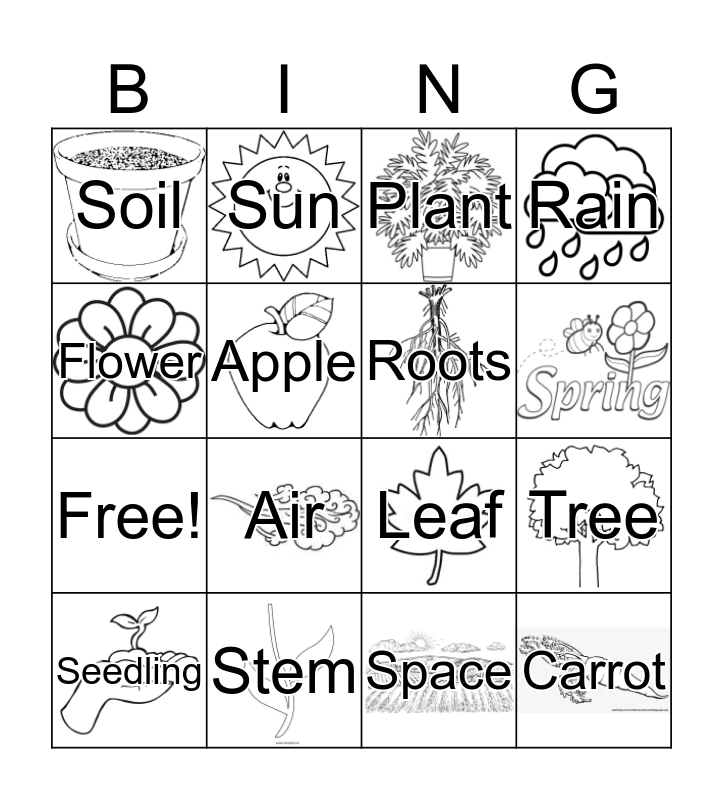 Plant Bingo Card