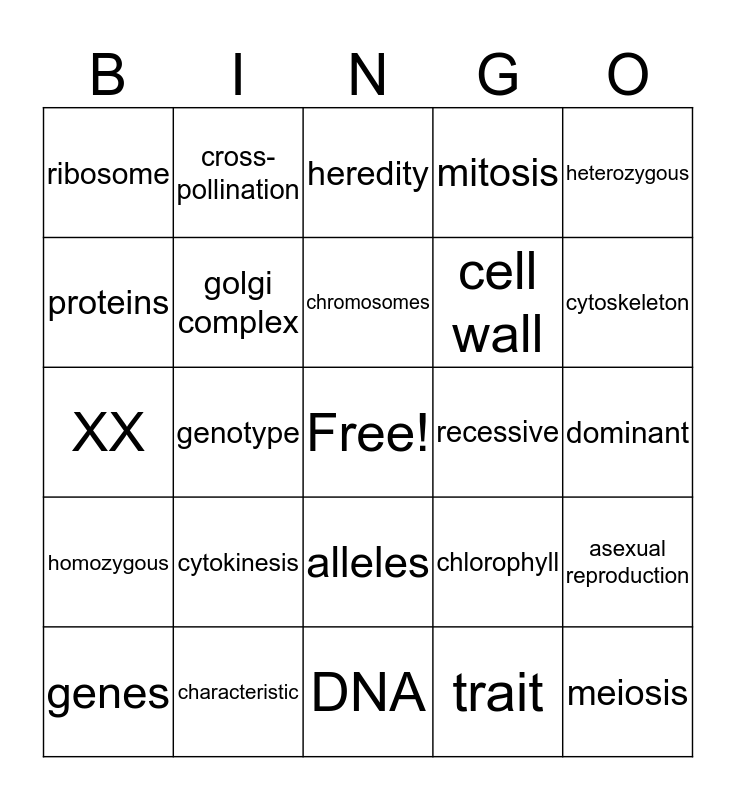 Heredity Bingo Card